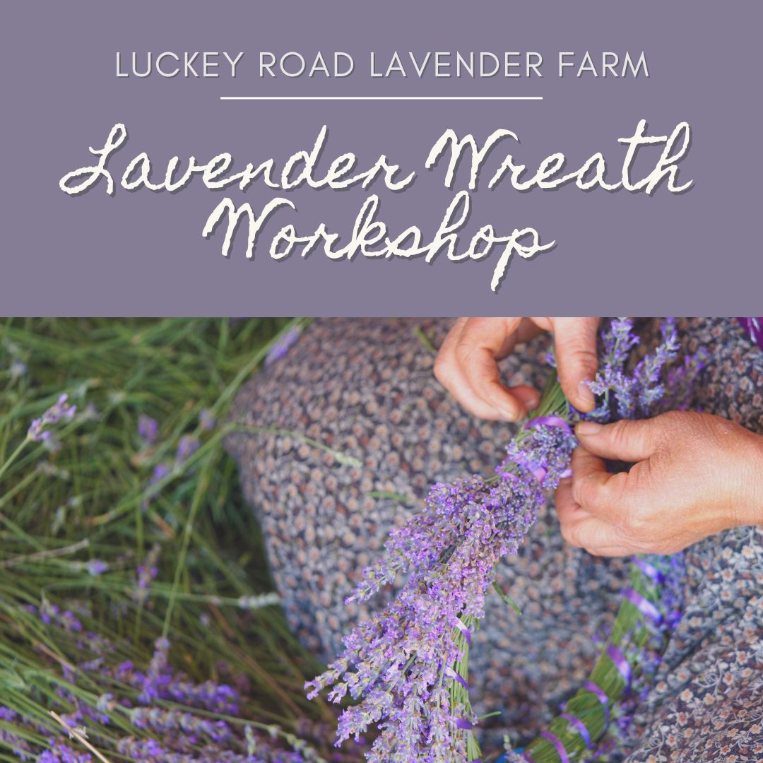 Lavender Wreath Workshop | Luckey Road Lavender Farm